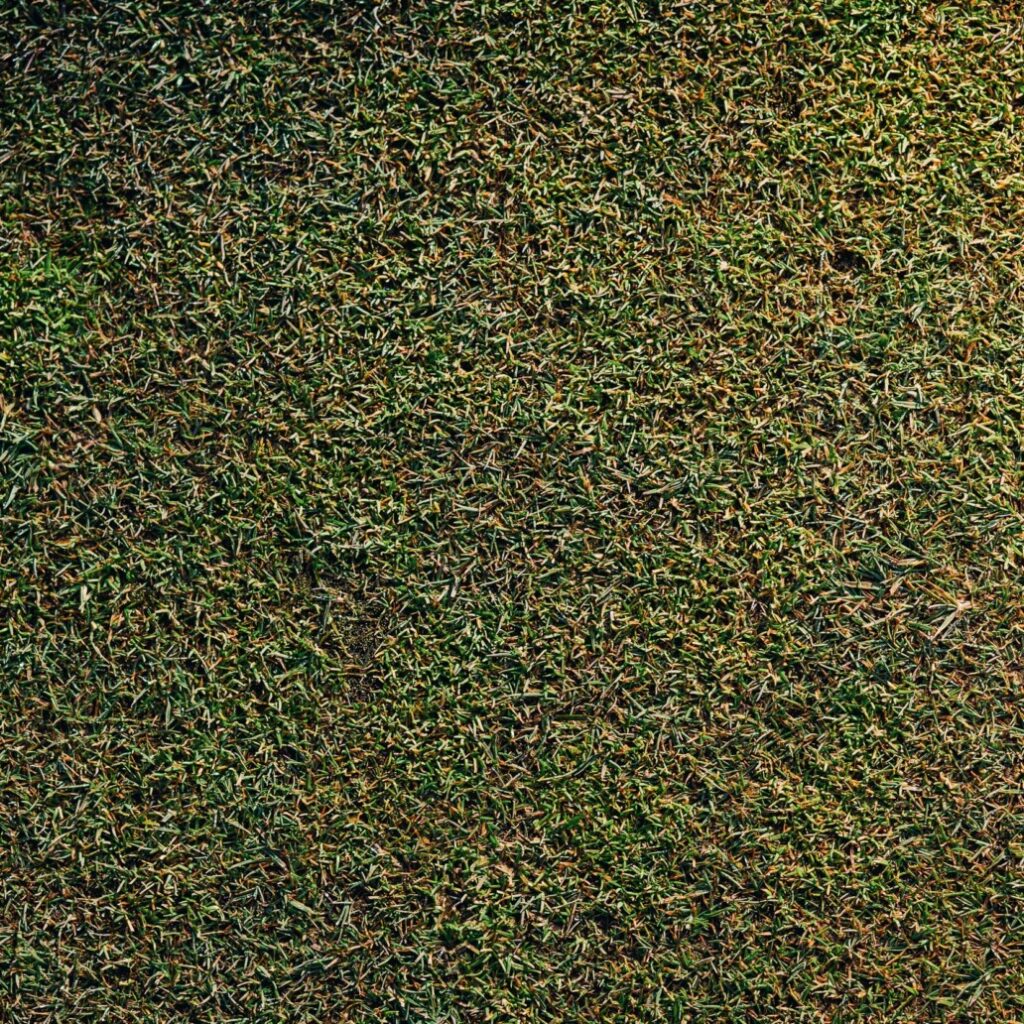 Harry Schaap - Een baan met uitzicht